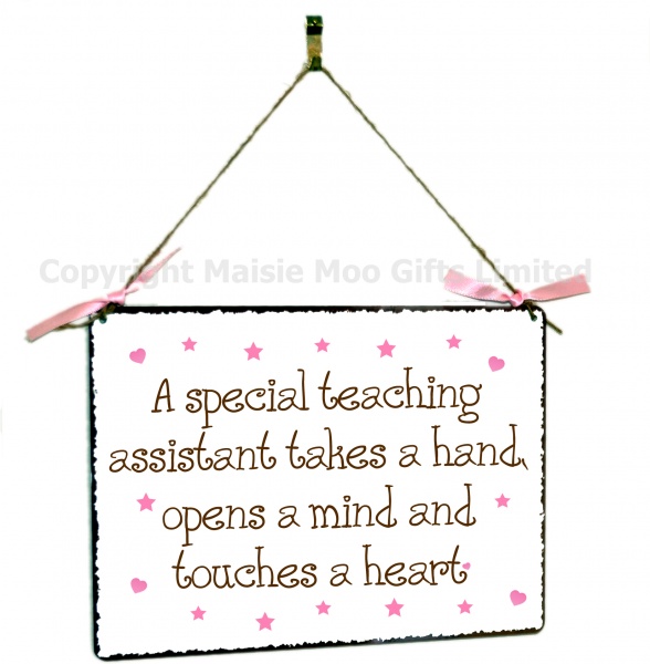 Special Teaching Assistant Hanging Vintage Style Design Plaque ...